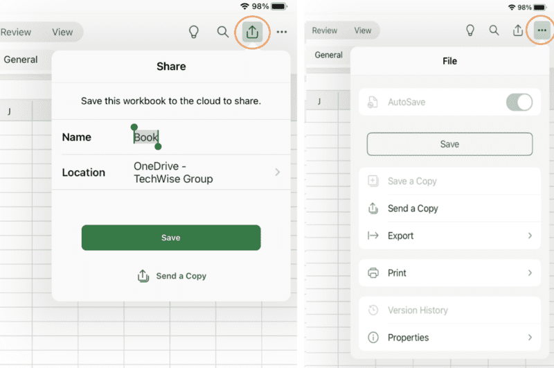 Copilot Tips: Copilot for Excel on iPad | TechWise Group